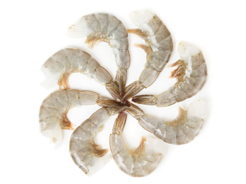 Large White Shrimp Pictures