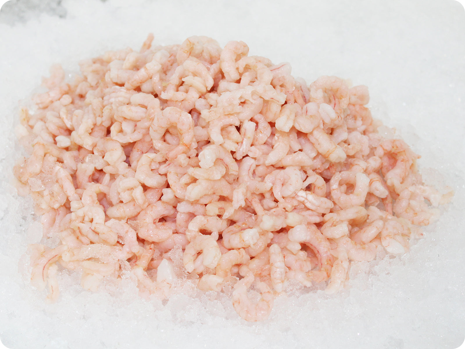 Pink Shrimp Cooked